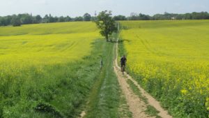 New Planning Application – Stop Bengeo Quarry